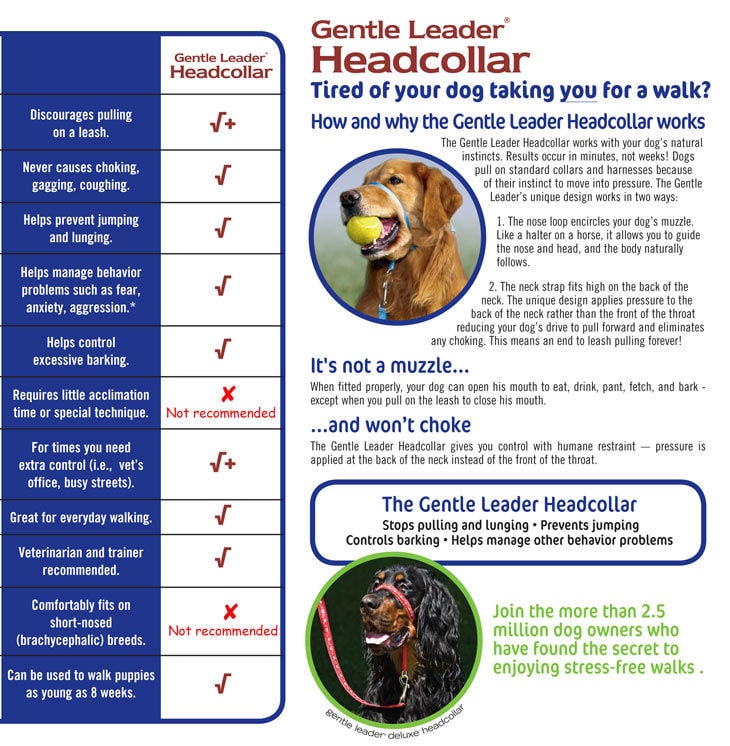 Gentle Leader®: Walk Your Dog With Ease