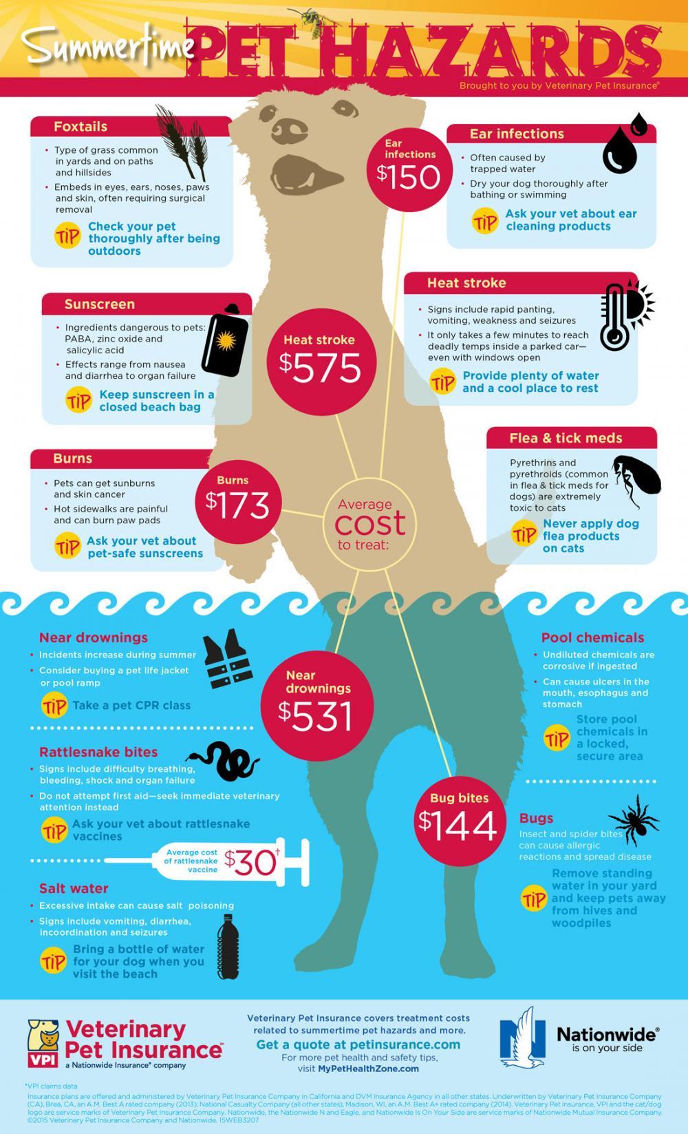 Sneak Peek & Summer Time Tips